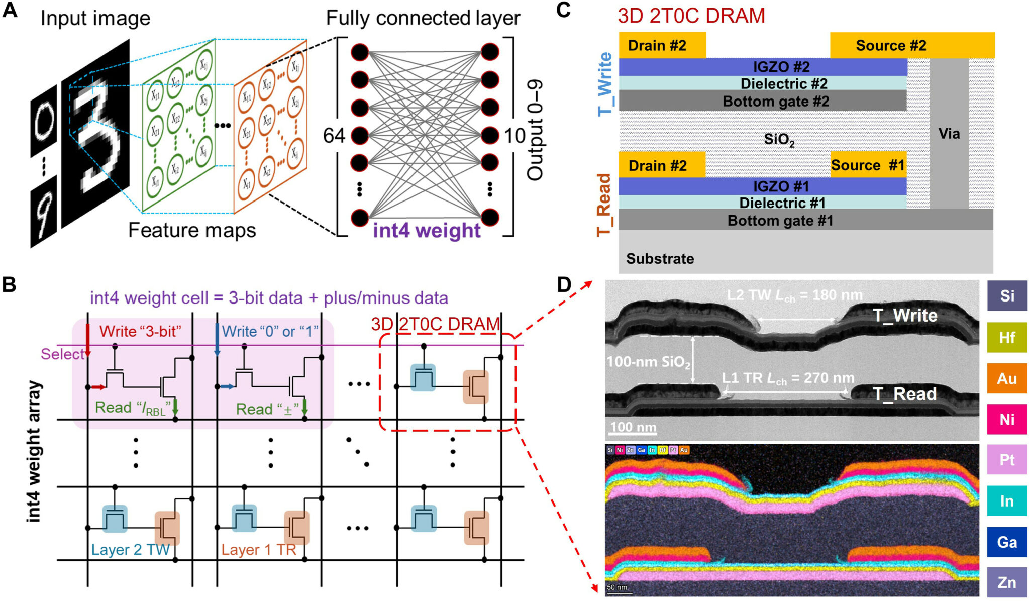 Advancements in 3D Stacked IGZO 2T0C DRAM for Computing-in-Memory ...
